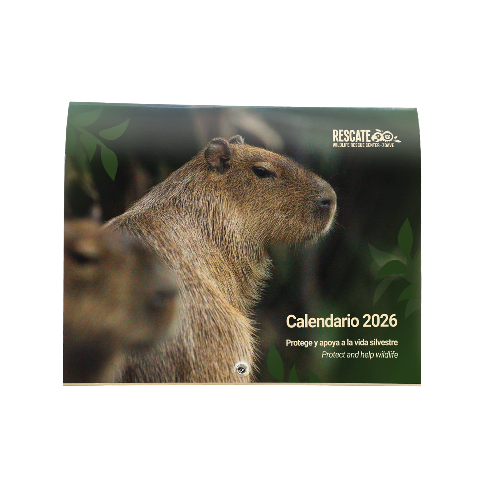 Calendar 2026 – Protect and help Costa Rica's wildlife – Tienda de ...