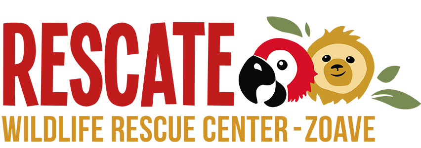 Products – Tienda de Rescate Wildlife-Zoave